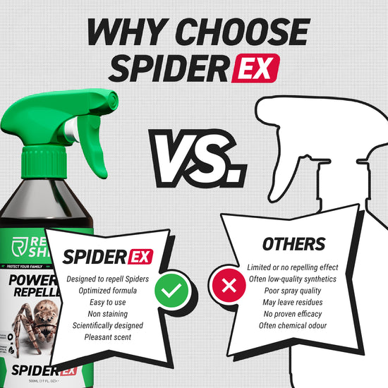 RepellShield Natural Spider Repellent, 250ml