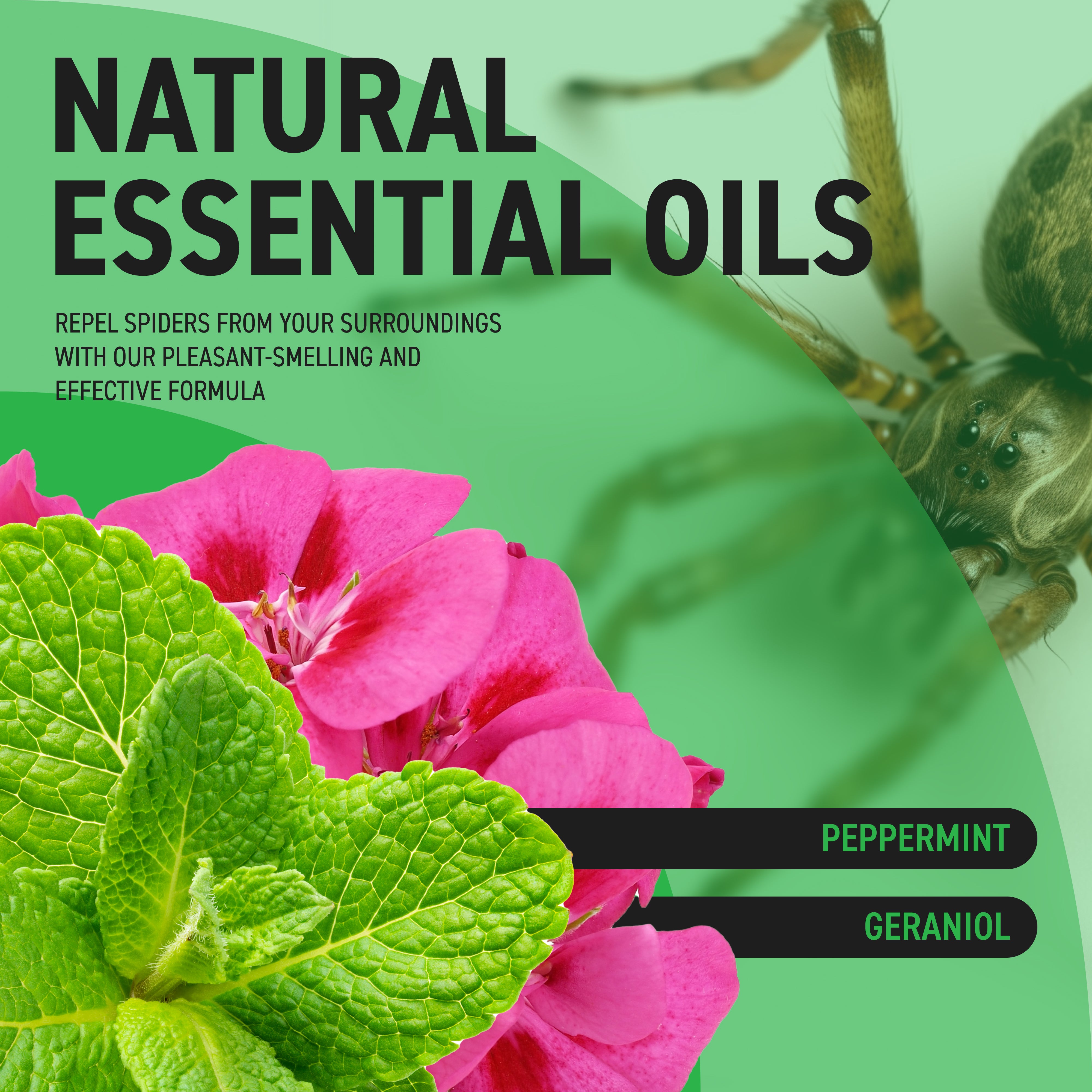 RepellShield Natural Spider Repellent, 250ml