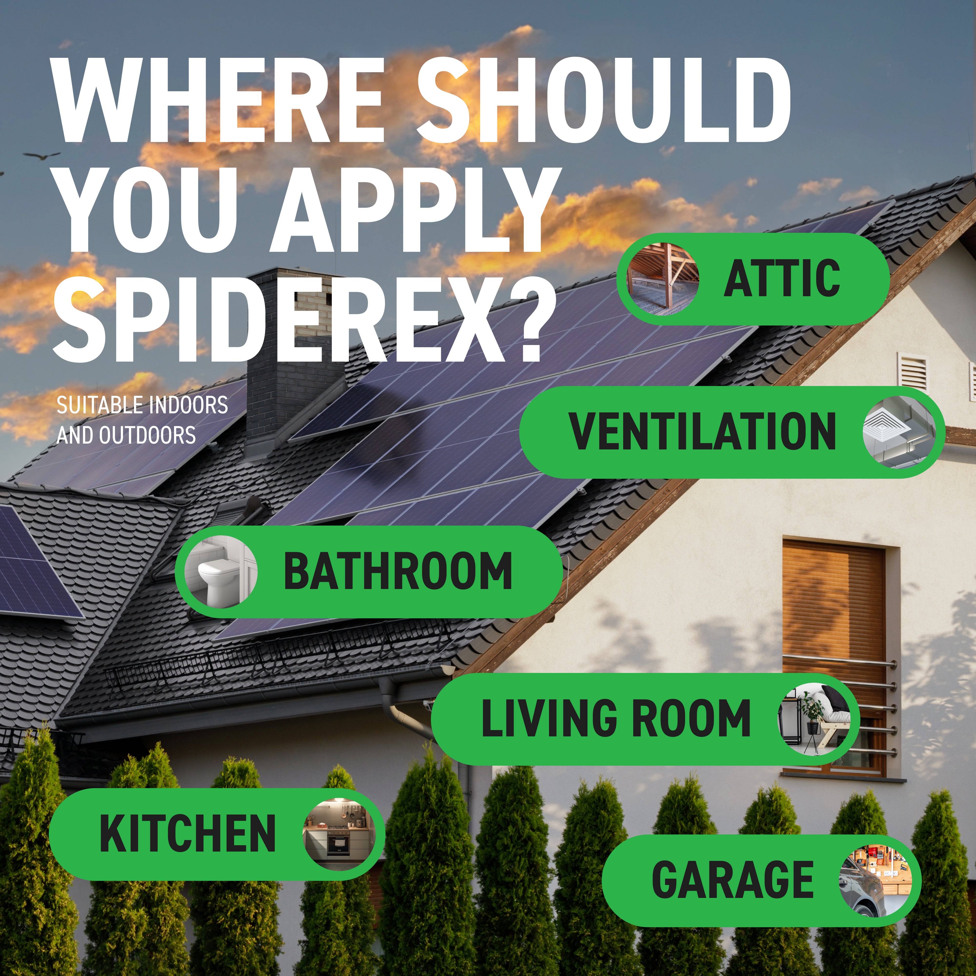 RepellShield Natural Spider Repellent, 250ml